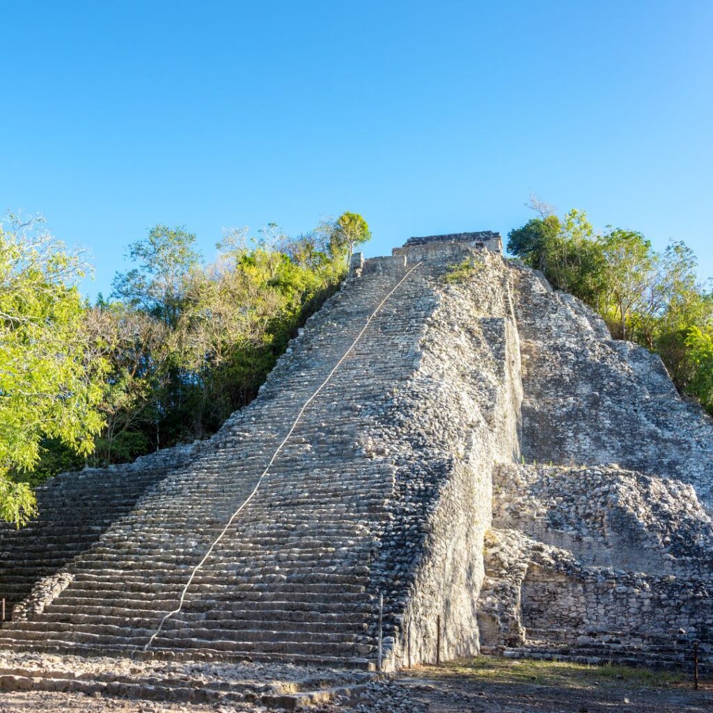 🐒 | Tours, Excursions by locals in Riviera Maya - RIVIERA FAM