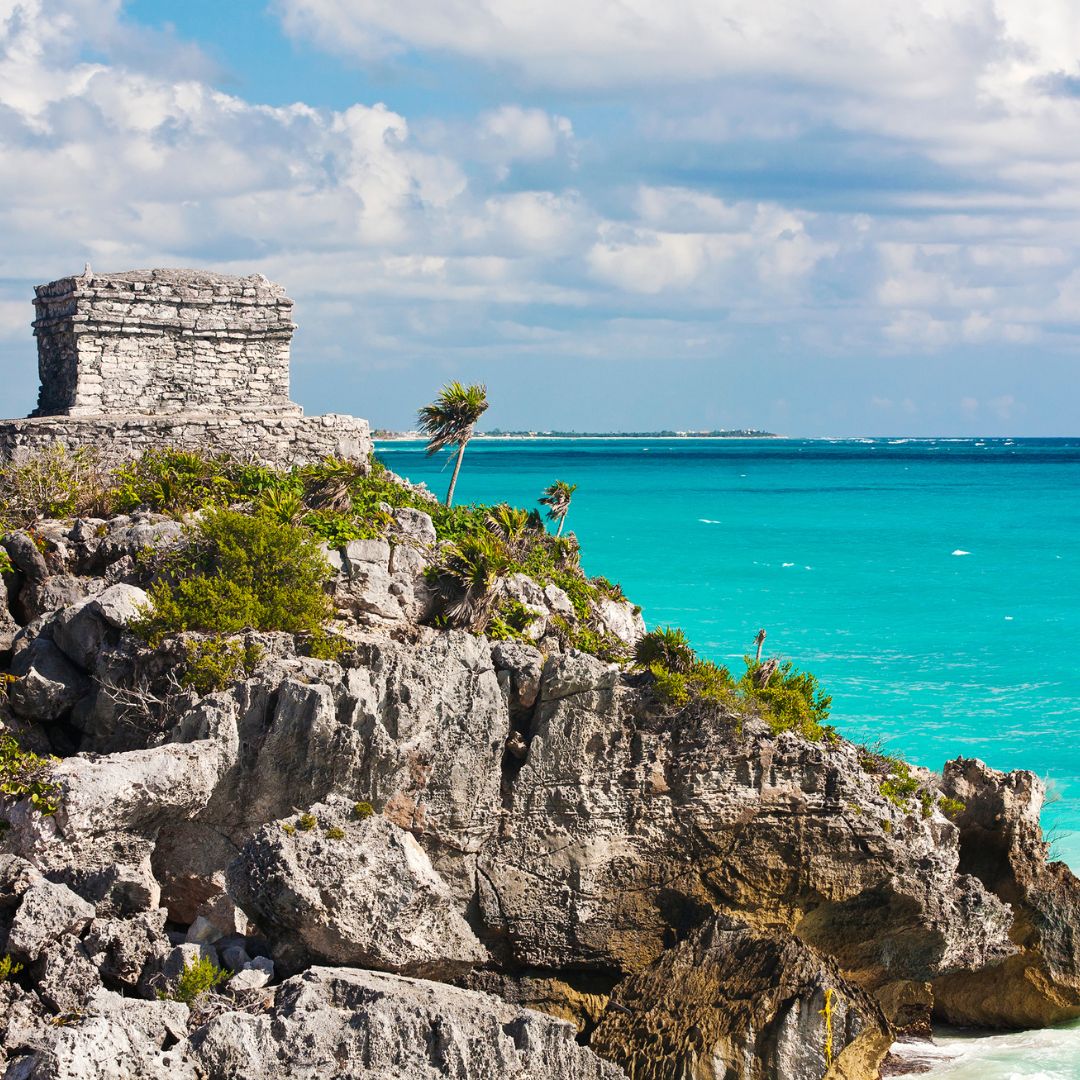 🐒 | Tours, Excursions by locals in Riviera Maya - RIVIERA FAM
