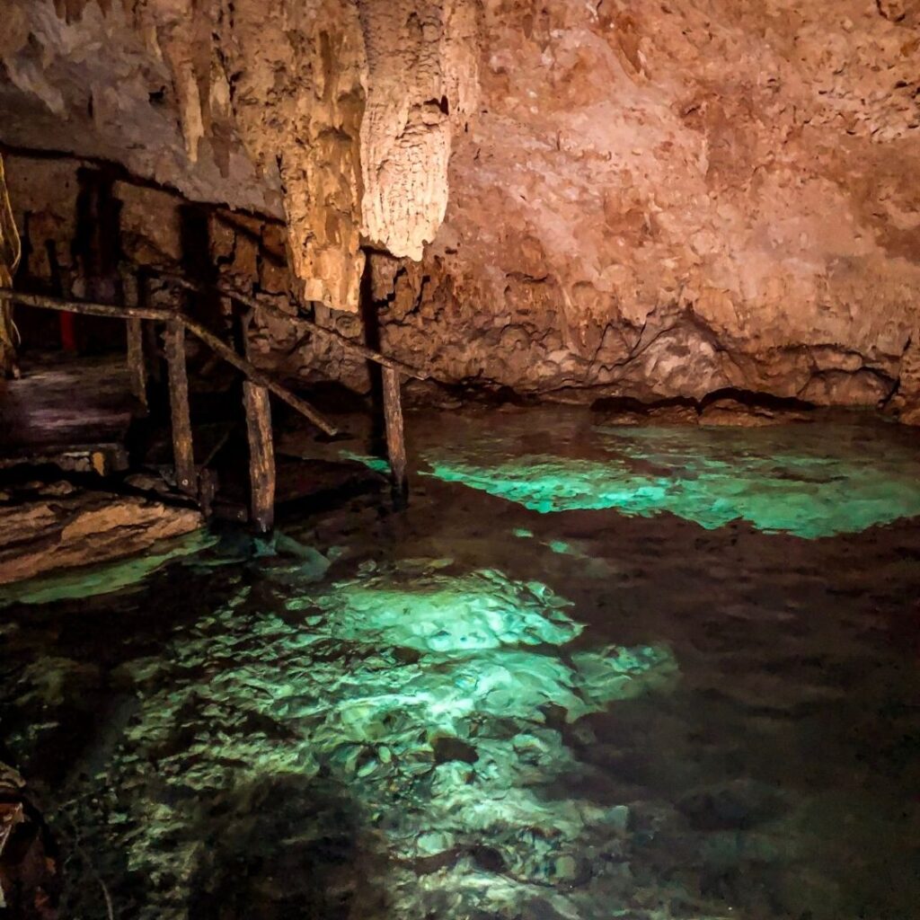 🧗🏻‍♀️ | Cenotes Private Tour - Riviera Fam